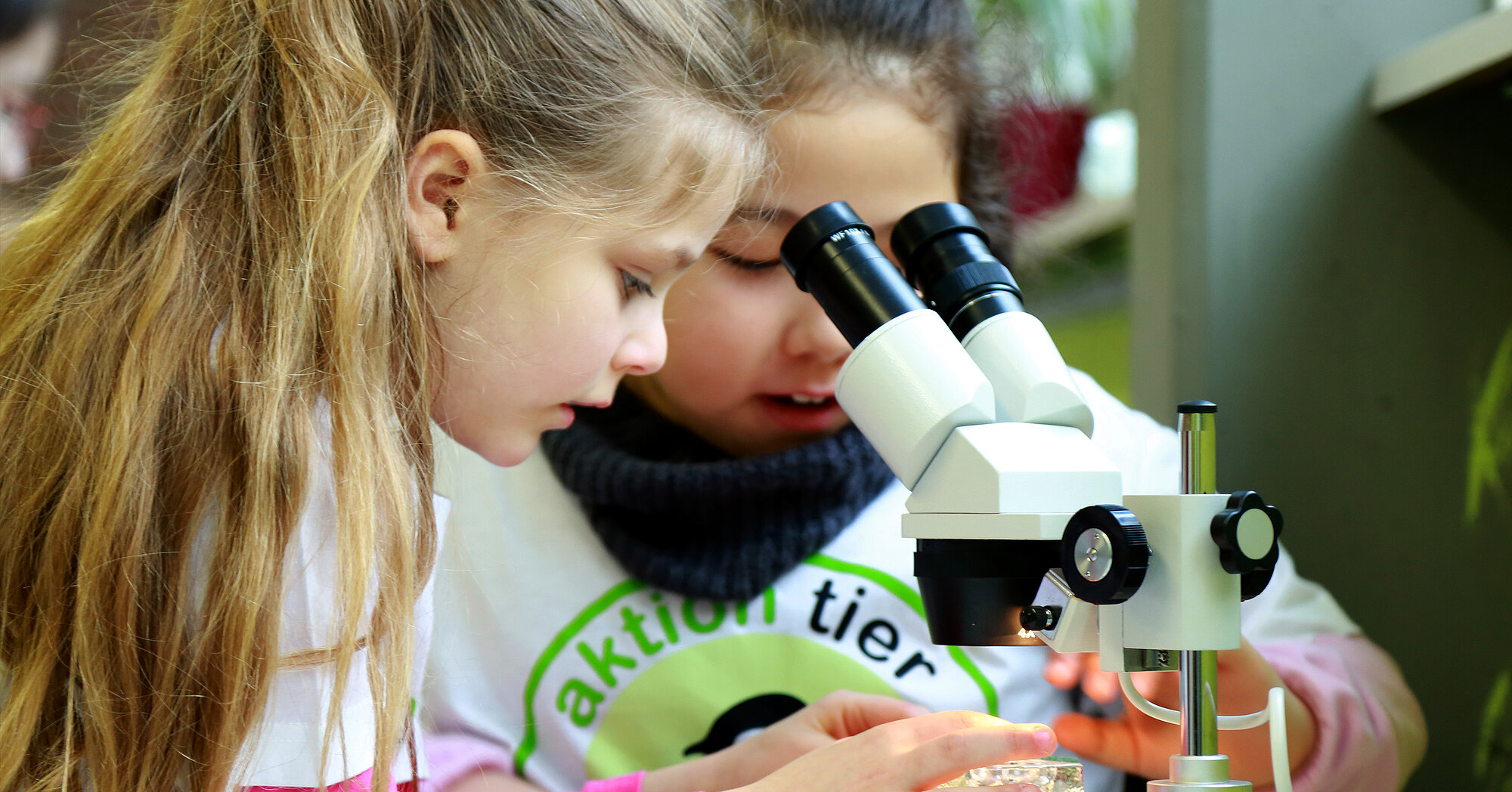 aktion tier – Menschen für Tiere e.V.: aktion tier Projekt JUNIOR ...